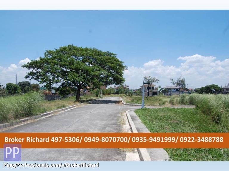 PALLAS ATHENA EXECUTIVE VILLAGE Imus Cavite Subdivision Lots = 6,600 ...